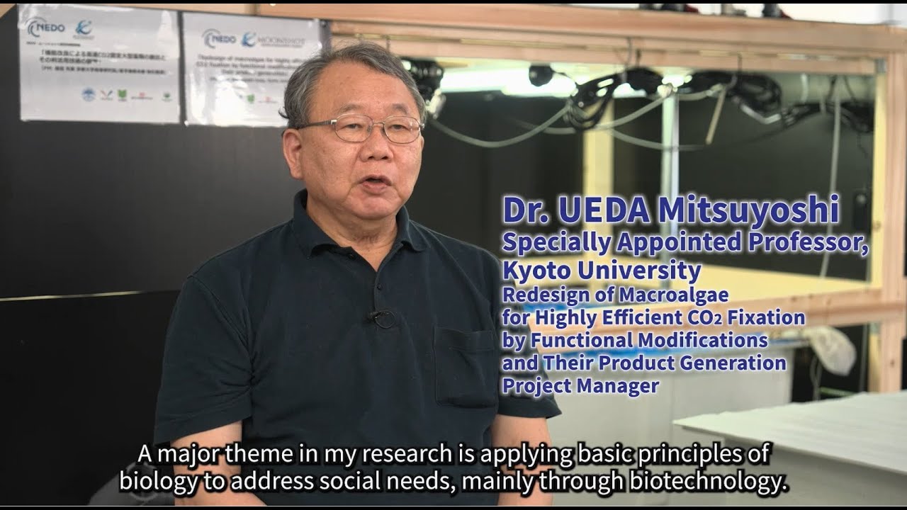 Biotechnology for Turning CO2 Into Resources Macroalgae for a Maritime ...