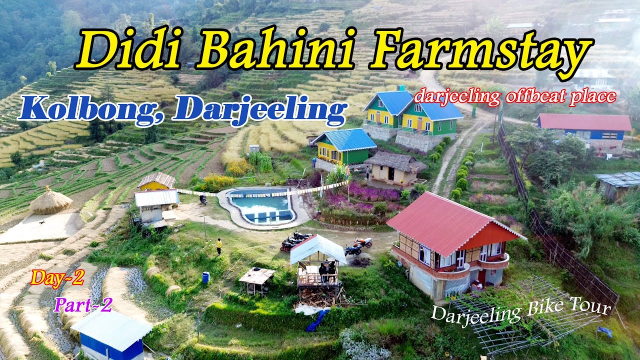 Didi Bahini Homestay || Kolbong || Darjeeling || part 2 || Day-2 ...