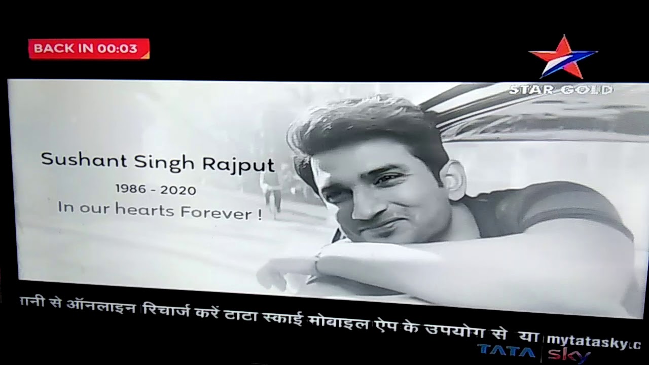 Shushant We Miss You Alot YouTube shushant-we-miss-you-alot-youtube