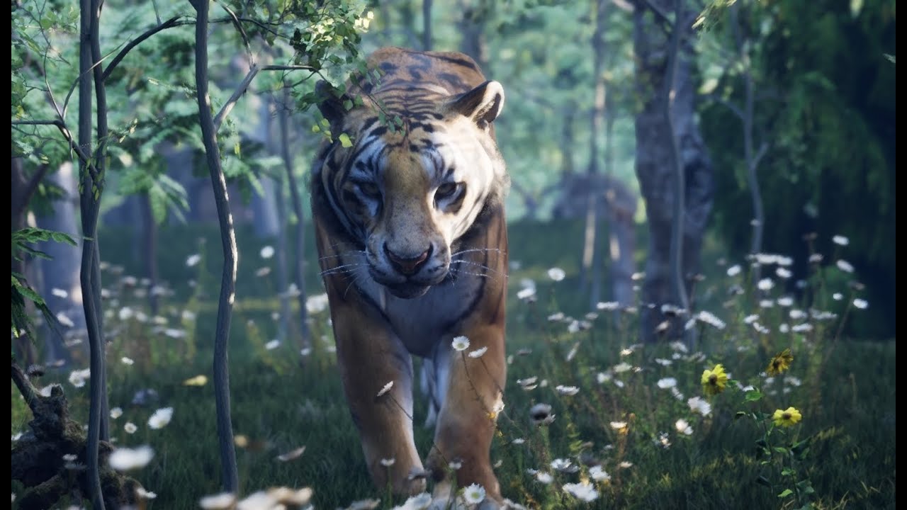 Tiger Attack Animation Promo- Eternal | Unreal Engine 5 - YouTube