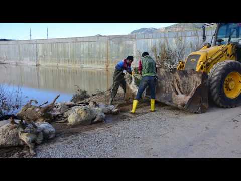 Bozyazı Sel Felaketi 2019