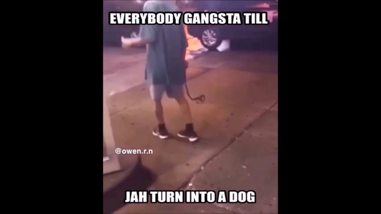 Everybody gangsta till Jah turn into a dog - YouTube