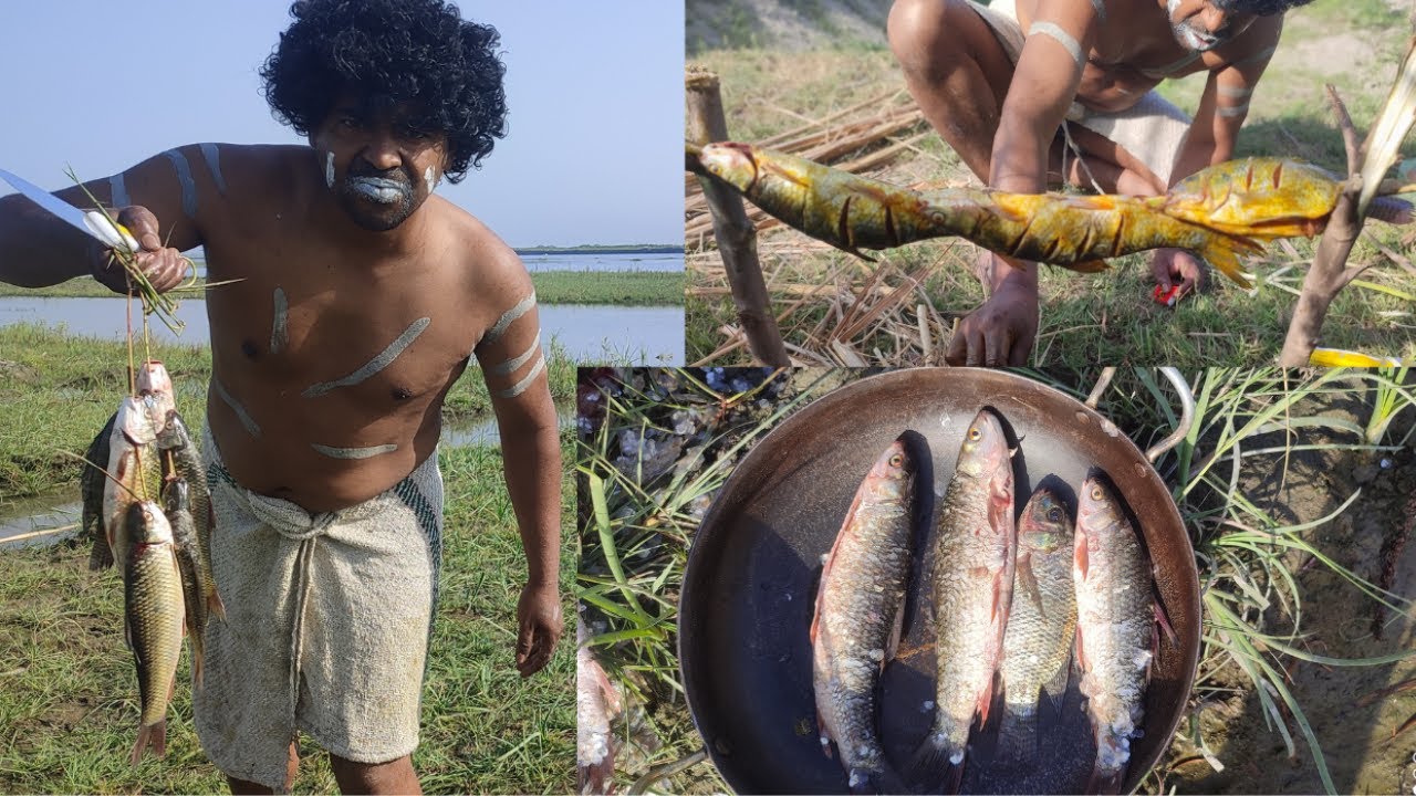 Tribal People Catch and cook Fish Barbeque - BBQ - Jungle Living ...