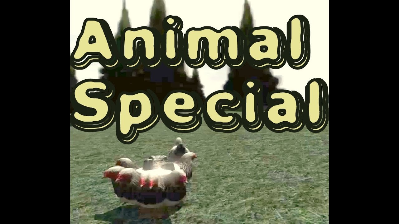 DayZ | Animal Special - The attack of the cows - The rabbit's ...