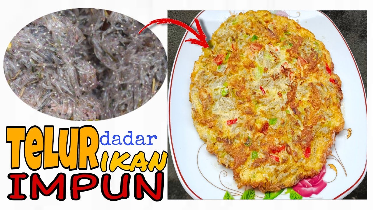 Resep Telur Dadar Ikan Impun untuk Menu Sehari-hari - YouTube
