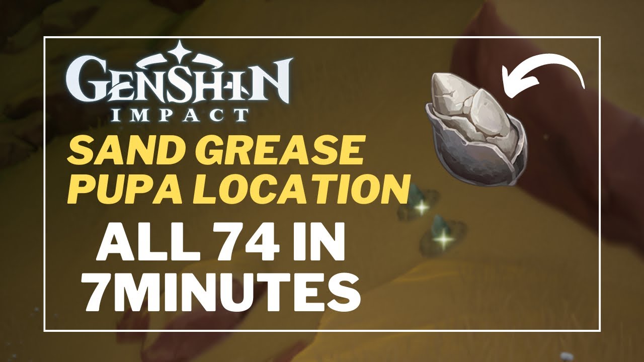 Sand Grease Pupa Locations Fast and Efficient Alhaitham Ascension ...