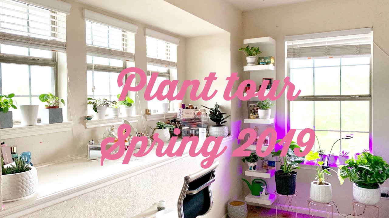 Plant Tour Spring 2019 | Jenna Marbles Inspired Plant Collection - YouTube