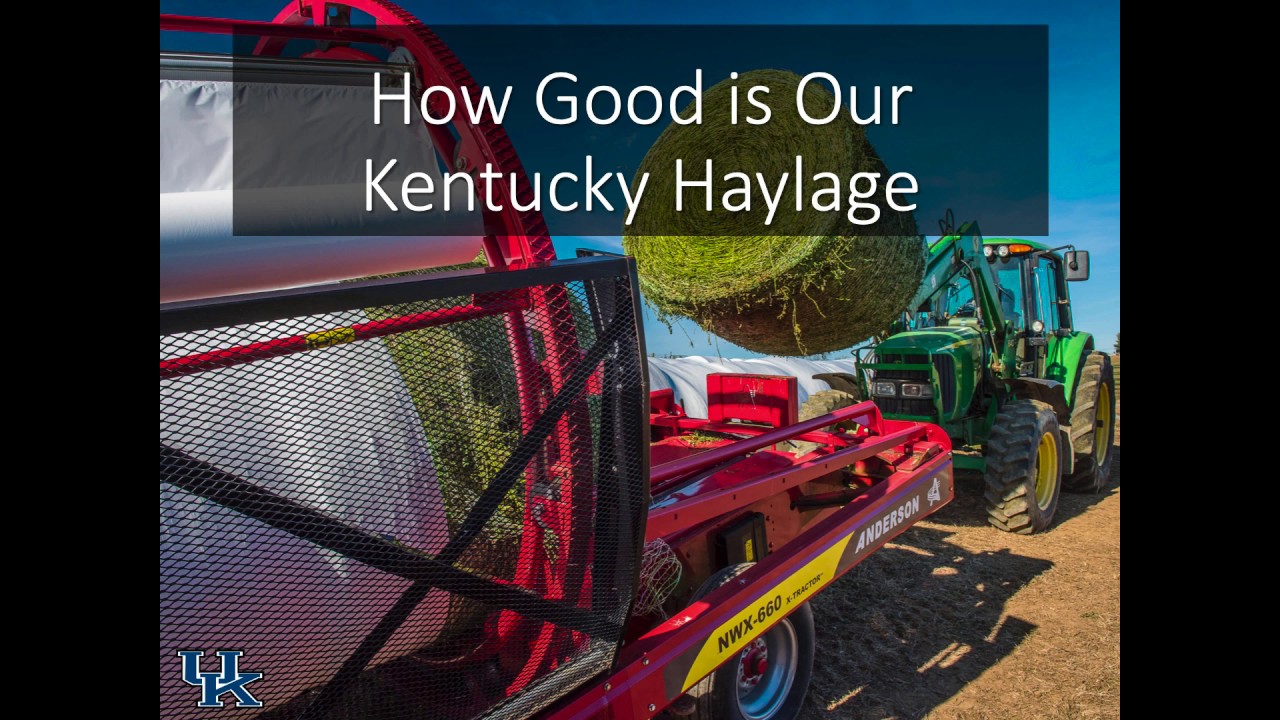 How Good is our Kentucky Haylage? A Summary of Farm Results-Jimmy ...