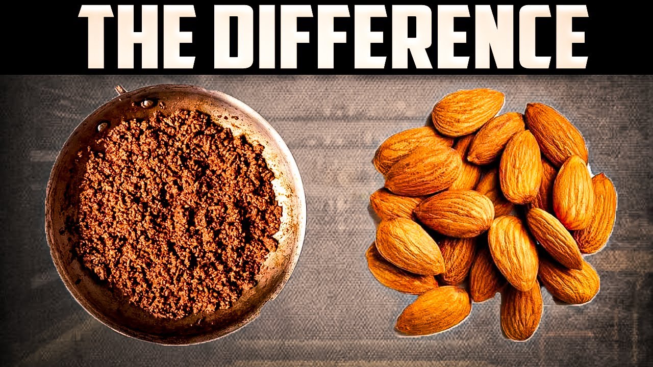 Saturated vs. Unsaturated Fats (and how they build muscle) - YouTube