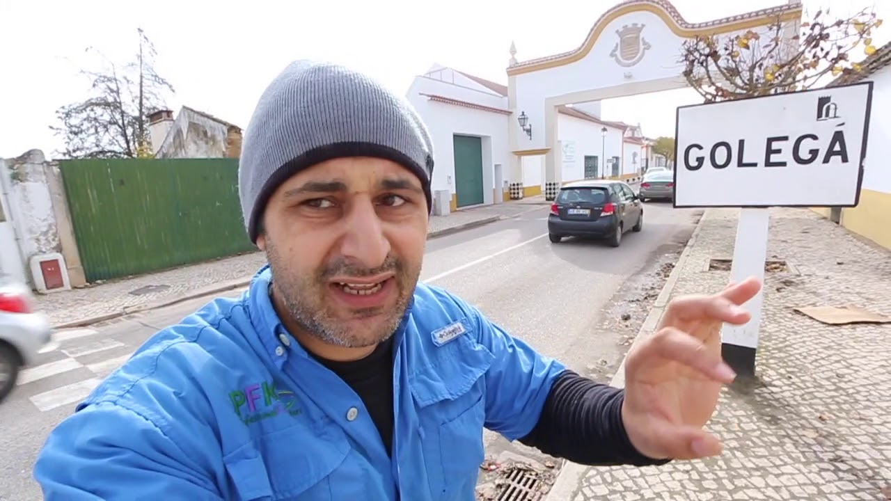 TEMPORADA 2 - PROFESSIONAL FISH KEEPERS - EUROPA - YouTube