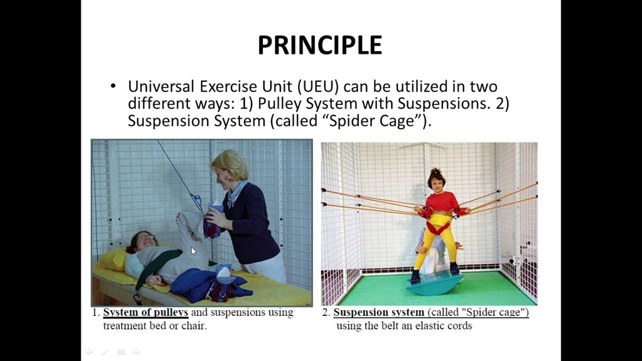 Universal exercise unit principle, techniques and applications #ueu # ...