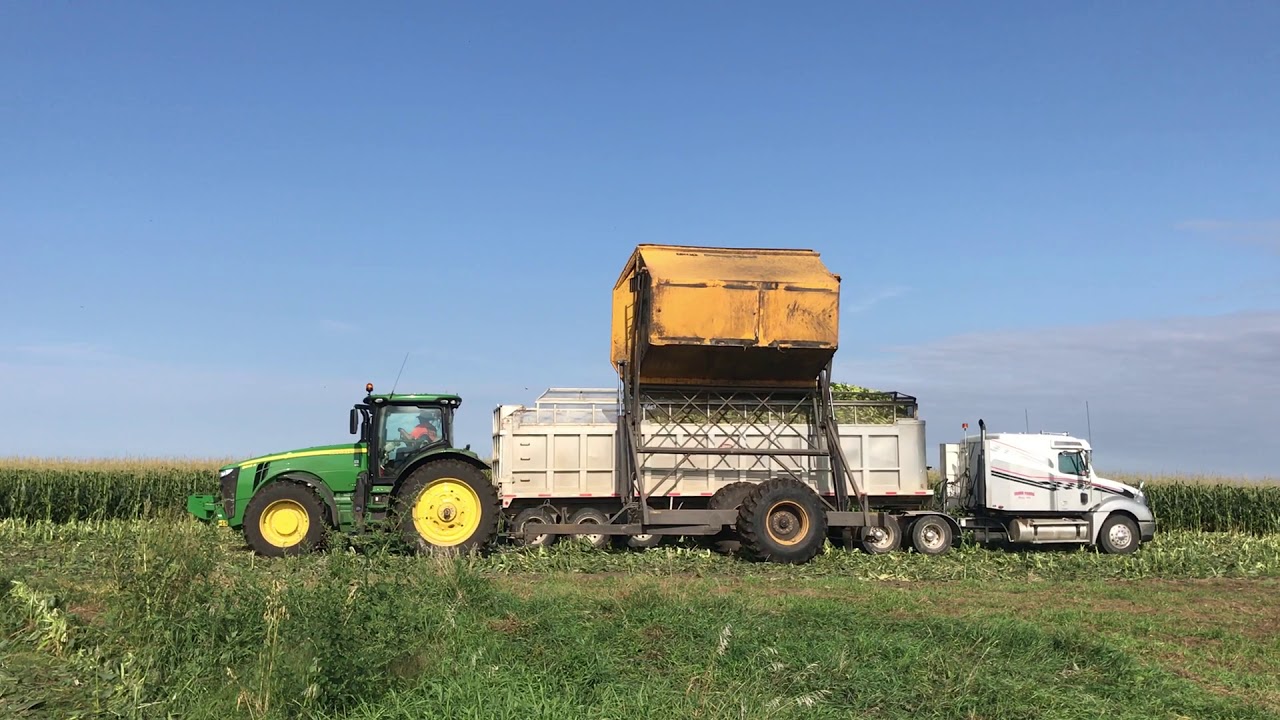 Filliing sweet corn truck - YouTube