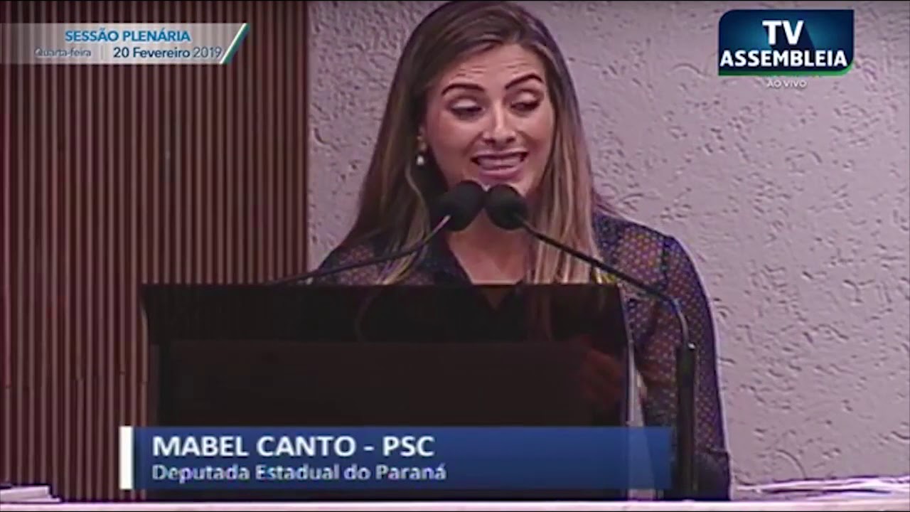 Sessão Plenária e extraordinária 20/02/2019 - Mabel Canto protocola ...