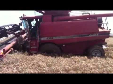 Case 2388 header bogged John Deere 8530 - YouTube