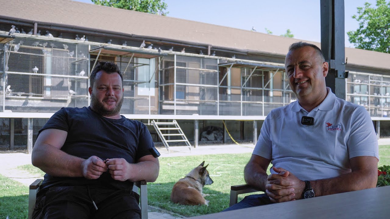 Interviw with Stelian Dumitran - Bucharest, Romania - YouTube