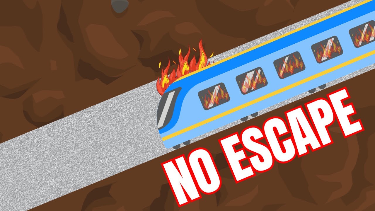 TERRIFYING Last Minutes Of 161 Passengers In A Burning Train In A ...
