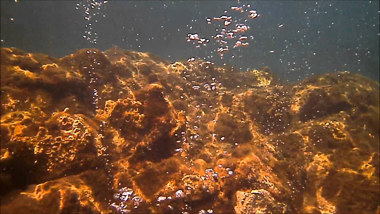 snorkeling Champagne Reef Dominica - YouTube