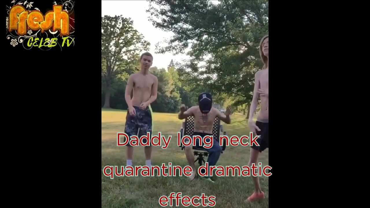 Daddy long neck Quarantine dramatic effects🤣🤣 - YouTube