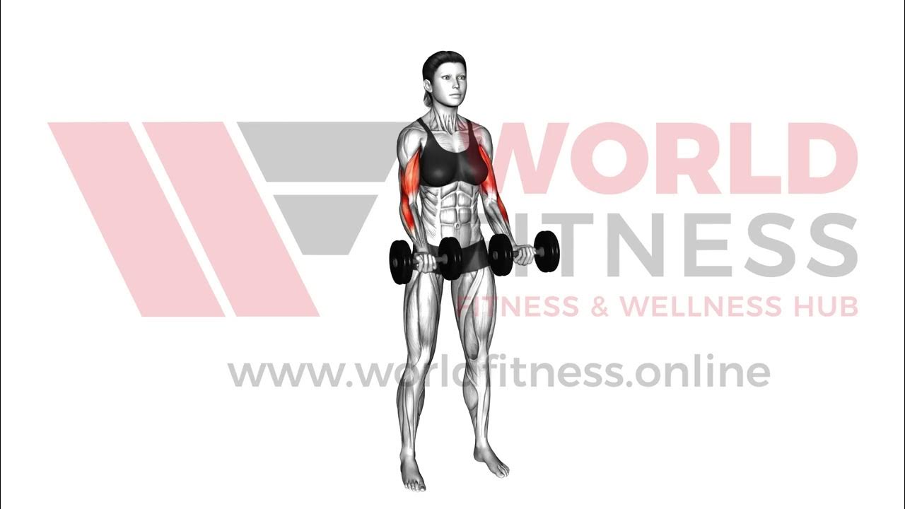 Dumbbell Zottman Curl Demo - YouTube