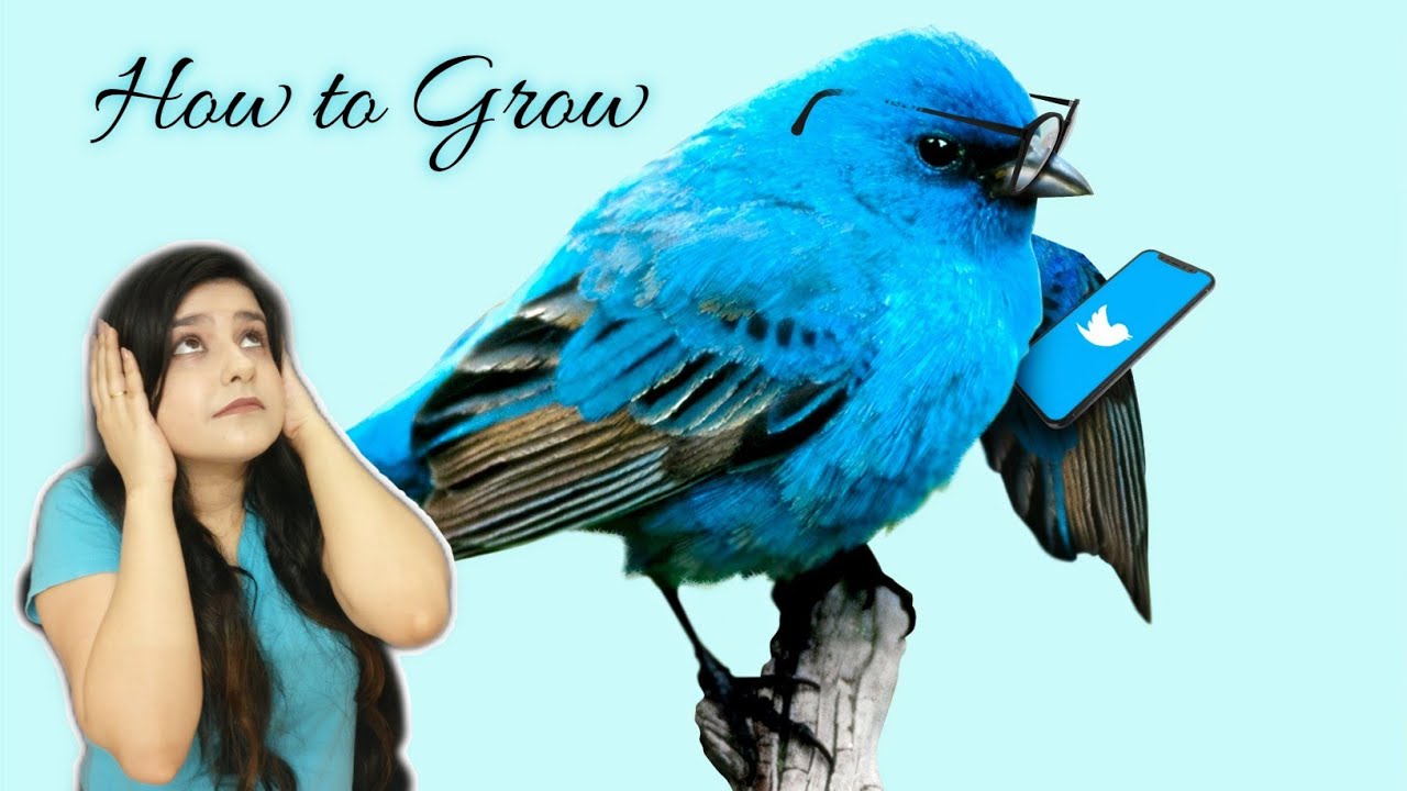 How to grow on Twitter || Twitter Growth Hacks 2020 || Best Twitter ...