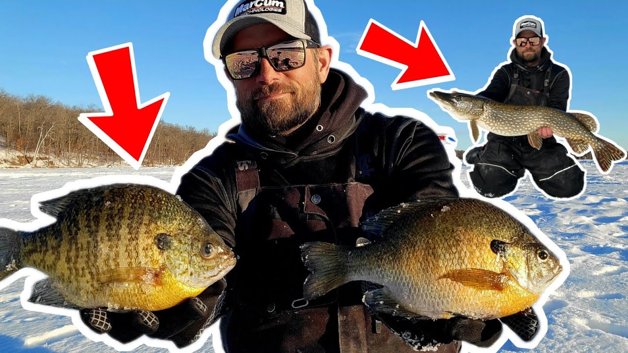 I Got a BIG Surprise While Fishing This Lake!! - YouTube