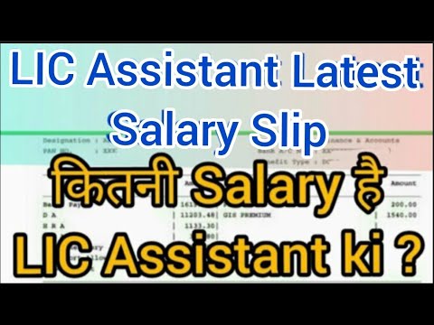 LIC Assistant Salary Slip | LIC Assistant Salary and Perks | LIC Salary ...