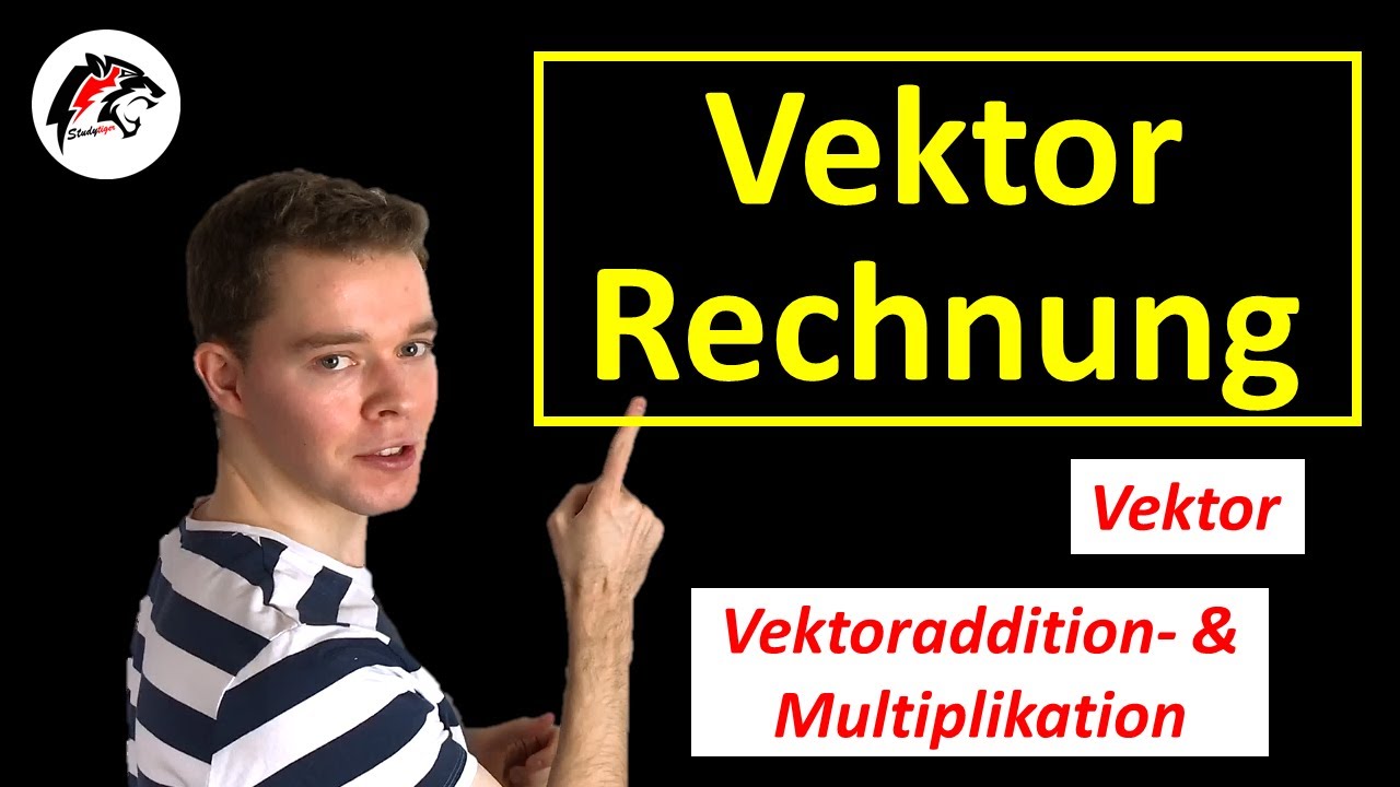 Grundlagen VEKTOREN & Vektorrechnung | Mathe Tutorial - YouTube