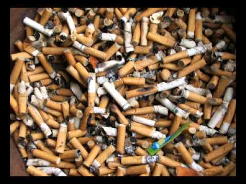 Мама азия шаран