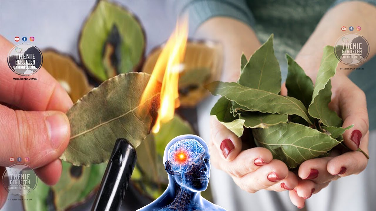 Është zbuluar që në kohët e lashta, digjni një gjethe dafine ne shtepi ...