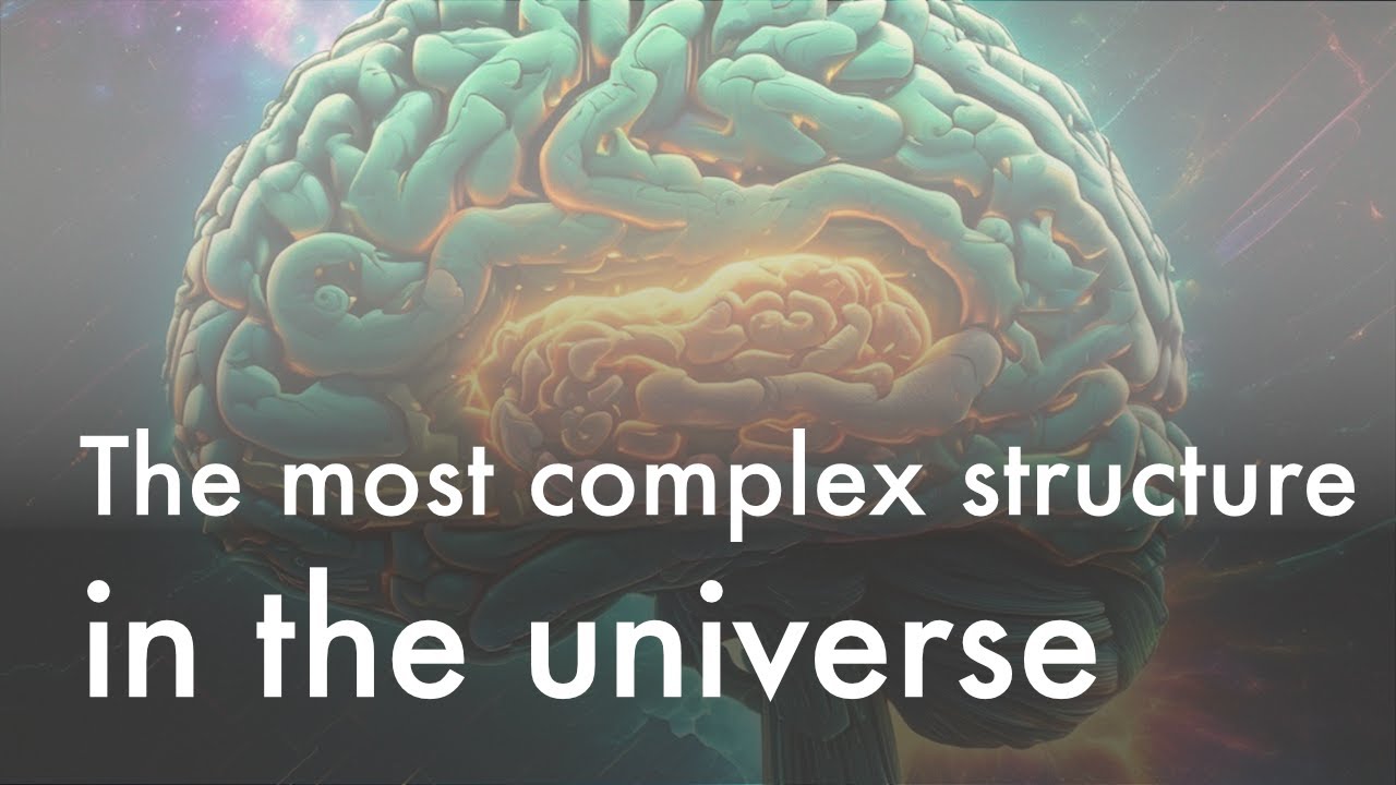 The Most Complex Structure in the Universe - YouTube