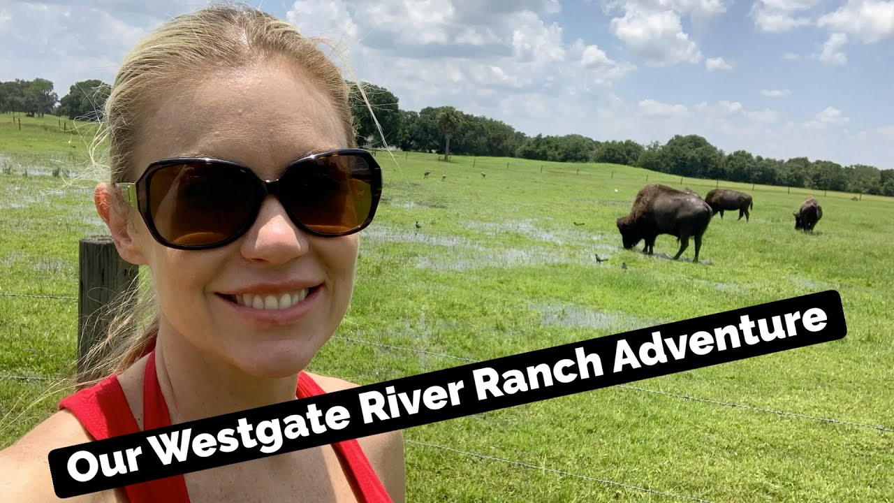Our Westgate River Ranch Adventure - Rodeo, Buffalo & an Airboat Ride ...