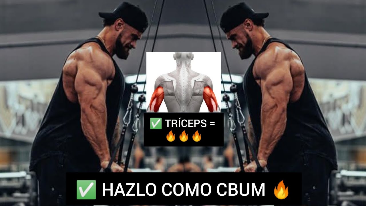 CBUM Y SU TÉCNICA para TRÍCEPS - BRAZOS MÁS POTENTES! | Hipertrofia ...