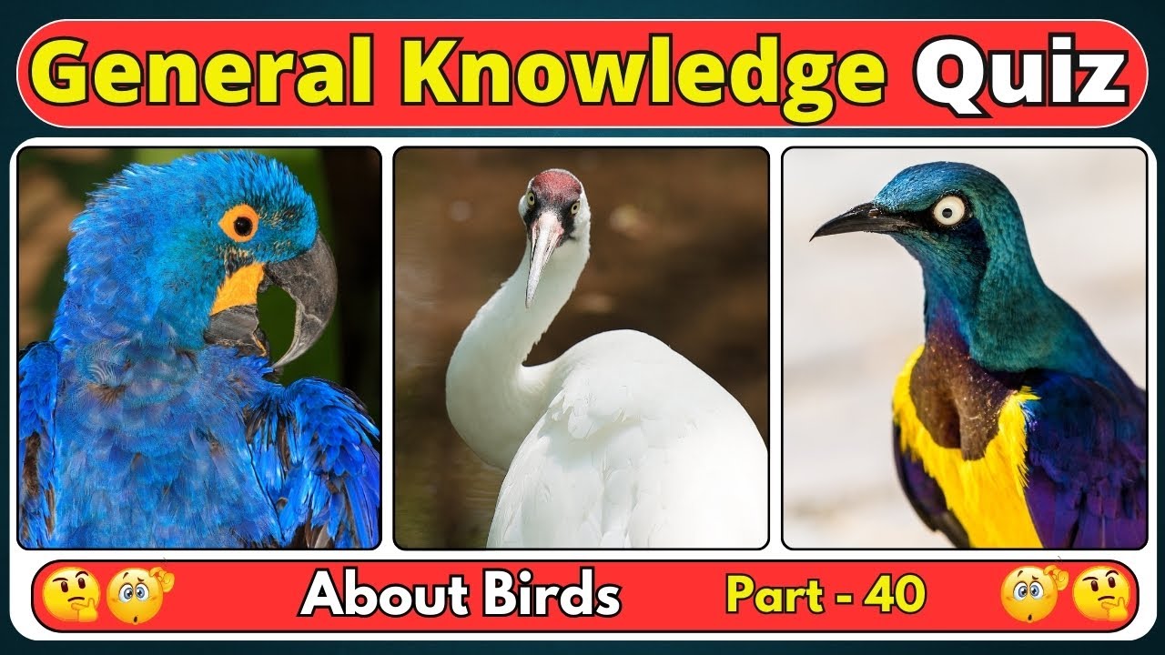 Guess The Bird Quiz 🐦 | Birds GK Questions & Answers | Part 40 | Helian ...