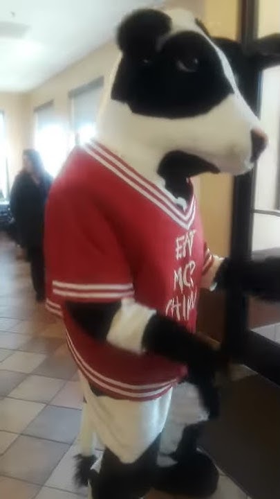 CHICK-FIL-A COW ( MASCOT ) - YouTube