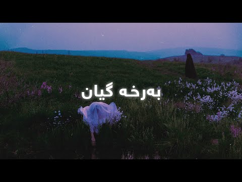 Najmadin Ghulami - Barxa Gyan (Lyrics) | نەجمەدین غوڵامی - بەرخە گیان