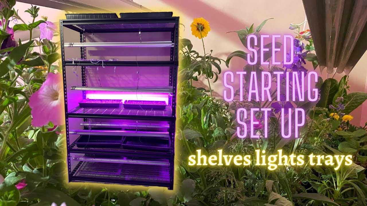 The ULTIMATE Indoor Seed Starting Set Up - YouTube