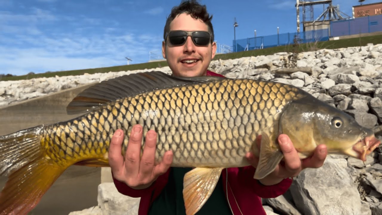 Fishing for CRAZY Big CARP Behind FACTORY! - YouTube