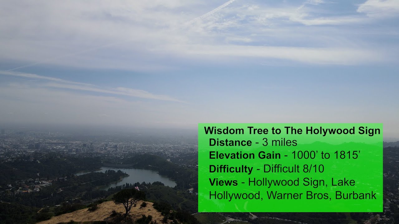 Wisdom Tree to The Hollywood Sign - YouTube