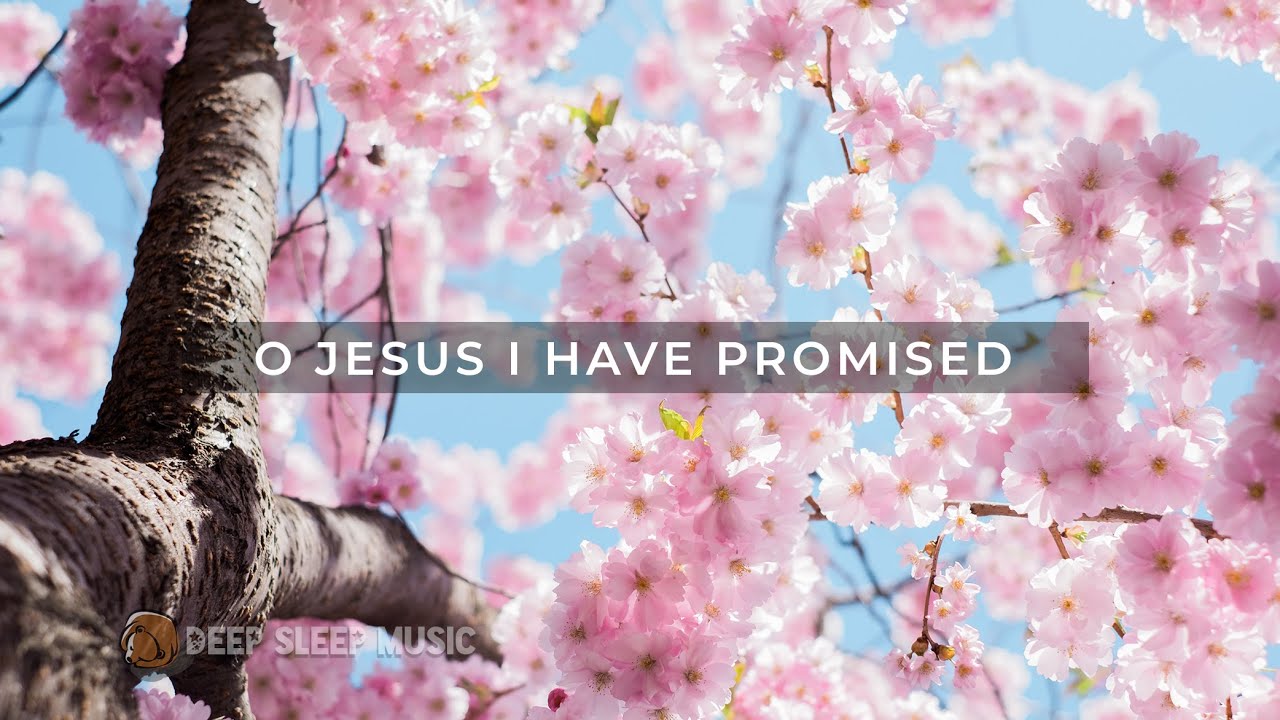 🟢 O Jesus I Have Promised with Lyrics ♪ Piano Instrumental Hymns for ...