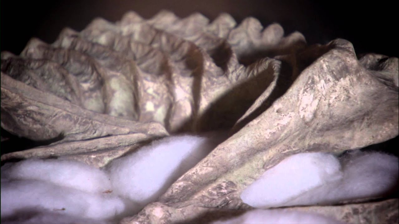 River Monsters Kappa A River Monster That Plays Innocent Pranks, But