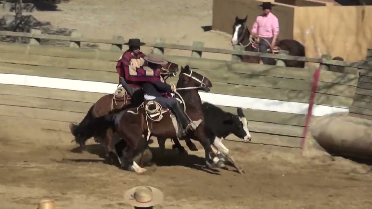 CLUB DE RODEO EL QUISCO 27-28 AGOSTO 2022 CAMPEONES - YouTube