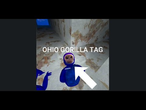 Gorilla tag but ohio? (capuchin vr oculus quest) *funny moments* - YouTube