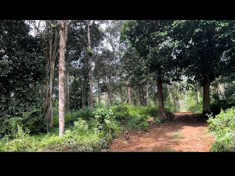 HARGA RM 850K TANAH KEBUN DURIAN DI KG SG LUI HULU LANGAT SELANGOR