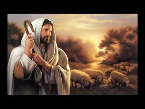 Músicas para Evangelho no Lar, Oração, Conexão Espiritual, ou um Momento de Paz e Tranquilidade.