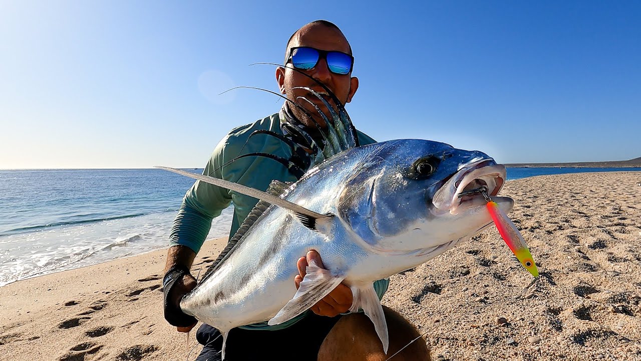 Pescando en LA PLAYA | Pesca de Pez GALLO desde la PLAYA - YouTube