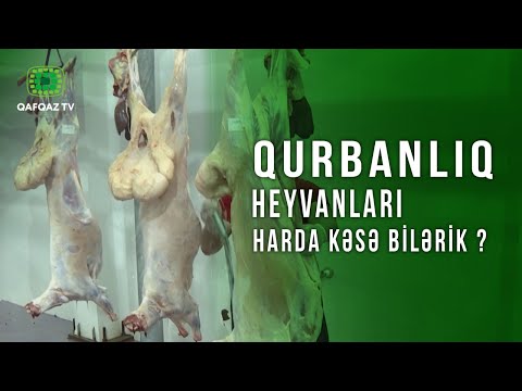 QURBANLIQ HEYVANLARI HARDA KƏSƏ BİLƏRİK ?