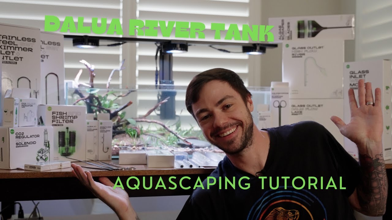 The Dalua River Tank! Aquascaping Tutorial - YouTube