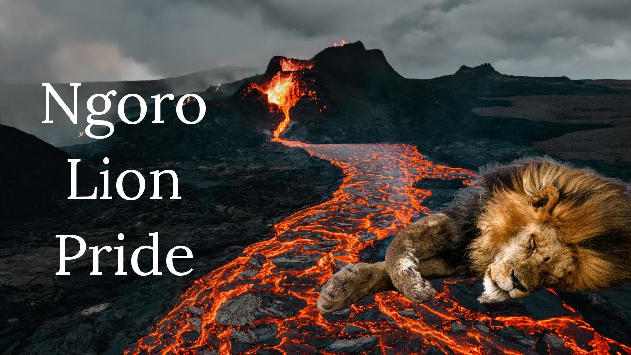Lions & Volcano - YouTube