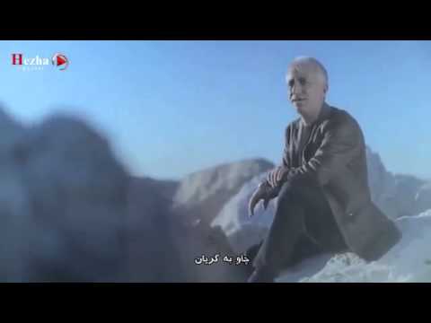 kawa kawani - namdazani