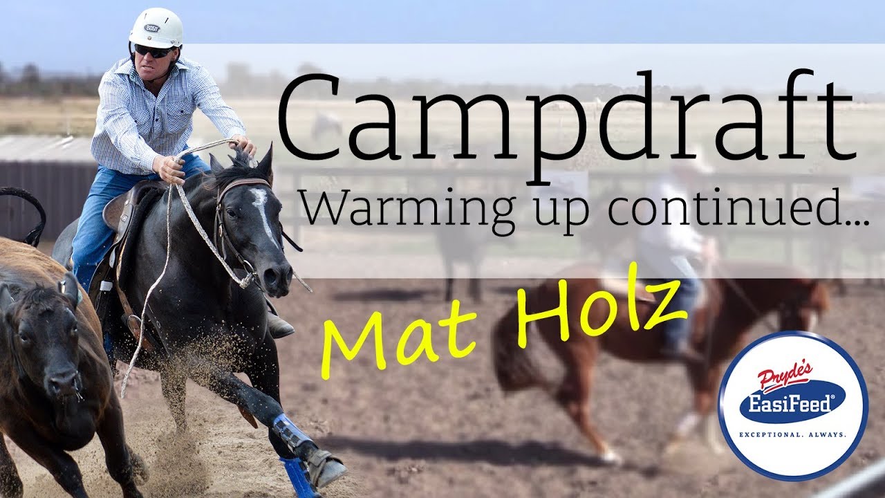 Building on campdraft basics - how to warm-up your campdraft horse ...